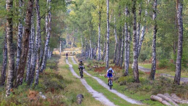 Strandparc Nulde in Putten - Kurzwego.de