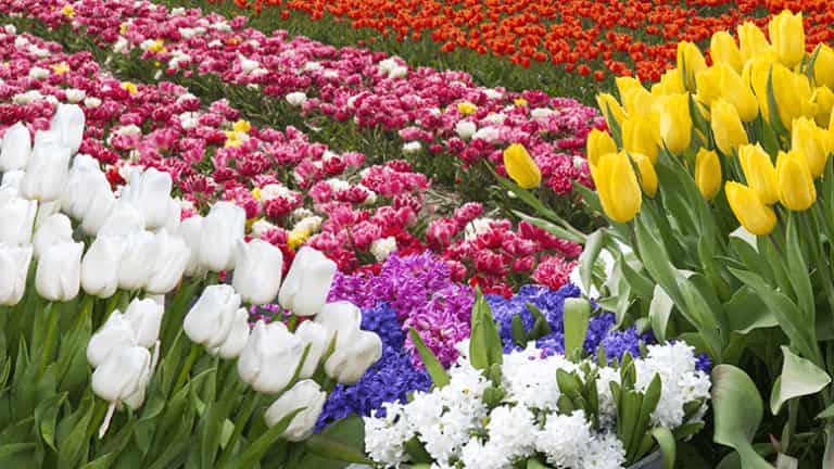 Hotels Nederland - Hotelaanbiedingen bij Voordeeluitjes.nl - Boek nu!